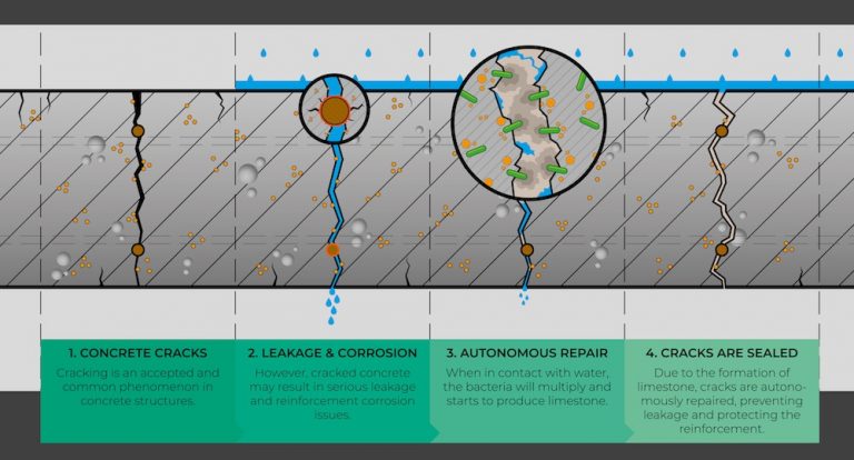 Biomaterials Are Making the Building Industry More Sustainable