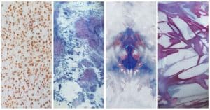 Nature’s Painters: Making Sustainable Colors with Microbes