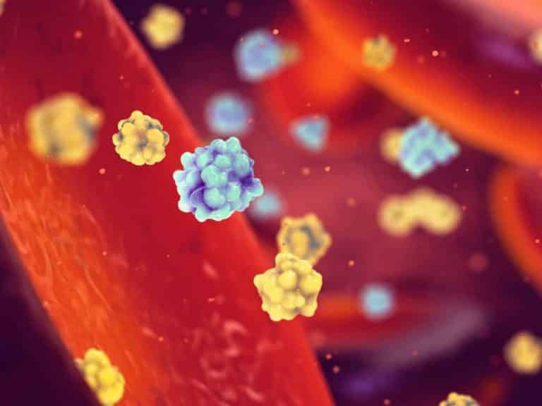 Evotec, Sernova in partnership to develop beta cell diabetes therapy