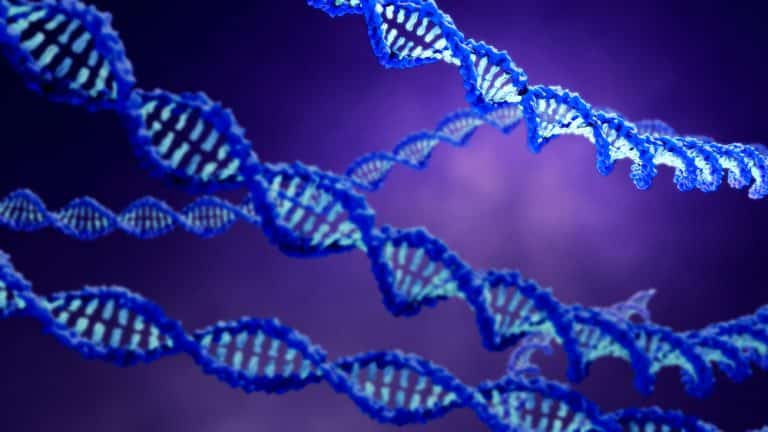 AstraZeneca creates FRAGLER for DNA synthesis