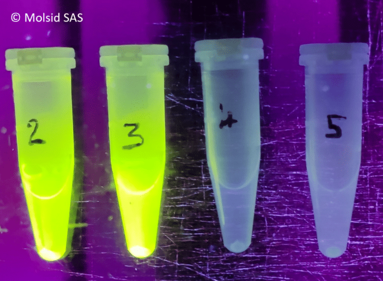 Molsid develops rapid AMR test