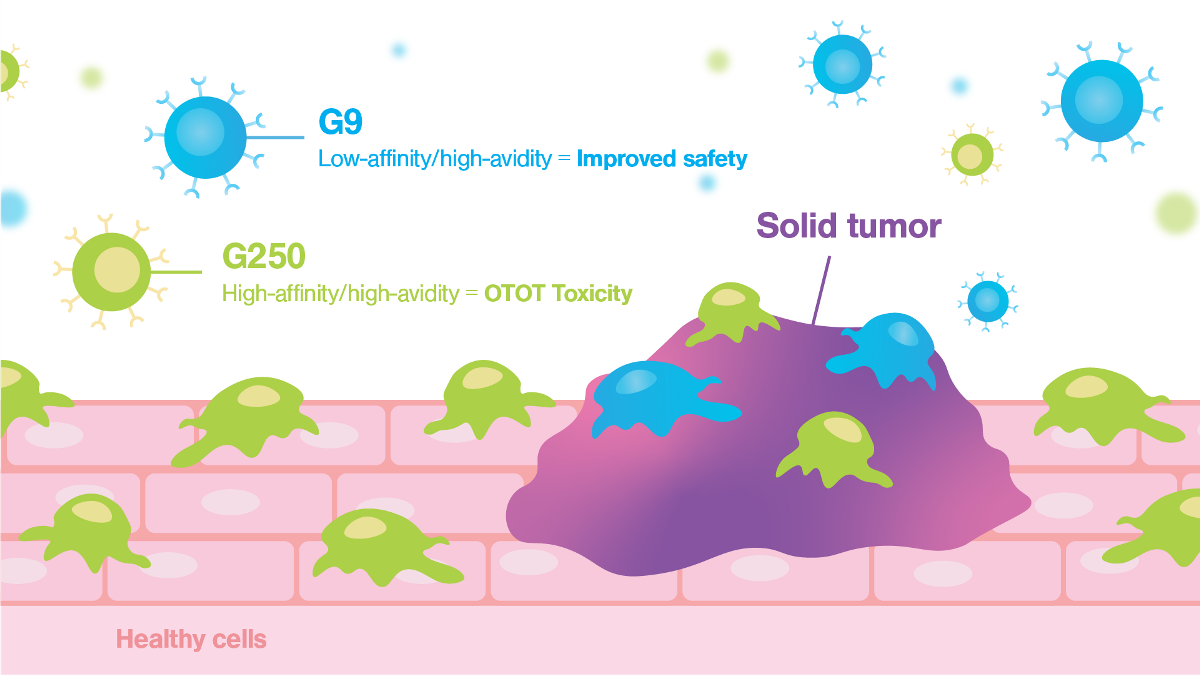 Cell avidity: revolutionizing CAR-T for solid tumors