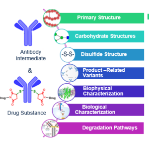 ADCs that deliver: The secret lies in rigorous characterization