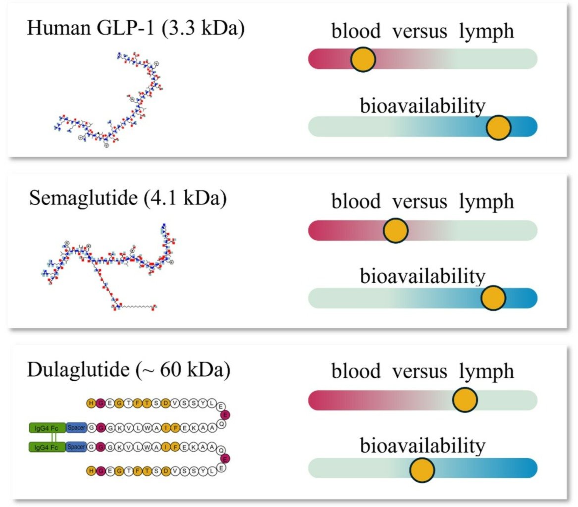 Is sublingual delivery the future for GLP-1 agonists?