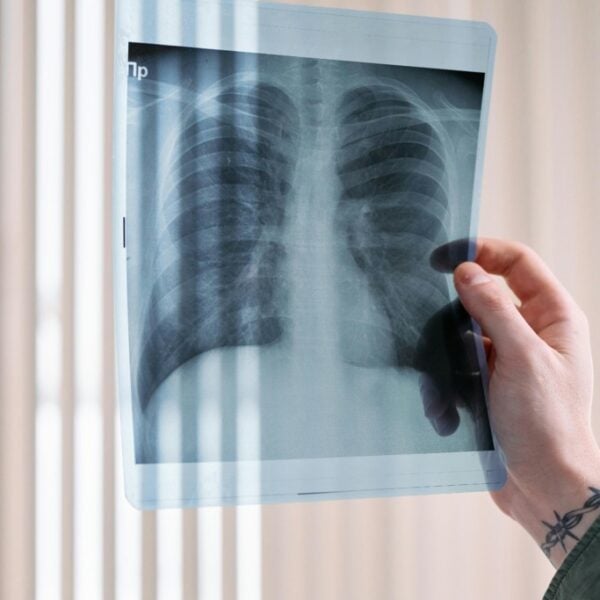 Lab-grown babies: how IVG could transform human reproduction