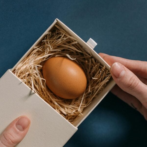 Could Stem Cells Replace Animal Testing in Drug Development?